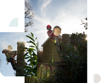 Chartfords Home - Chartfords Tree